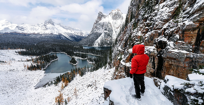 Know the ‘completeness check’ process for Canada Rural and Northern ...